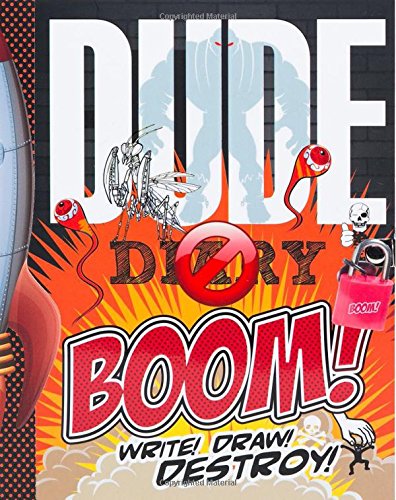 Dude Diary Boom!: Gill, Mickey, Gill, Cheryl: 9781892951762: Amazon.com ...