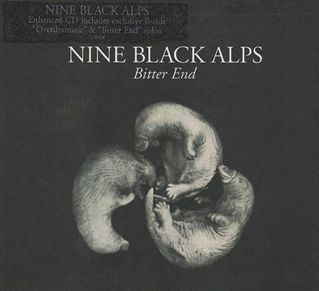 Nine Black Alps - Bitter End - Amazon.com Music