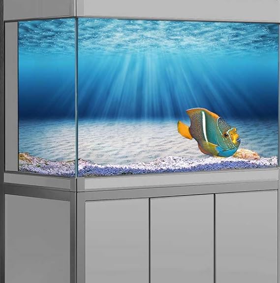 Amazon.com : Undersea Aquarium Background, Blue Ocean Sea Sunshine ...
