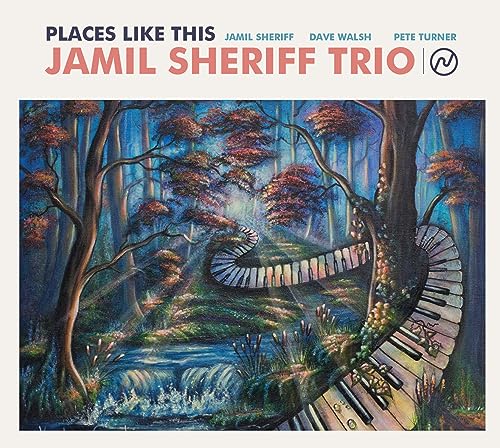 Amazon Music - Jamil Sheriff TrioのPlaces Like This - Amazon.co.jp