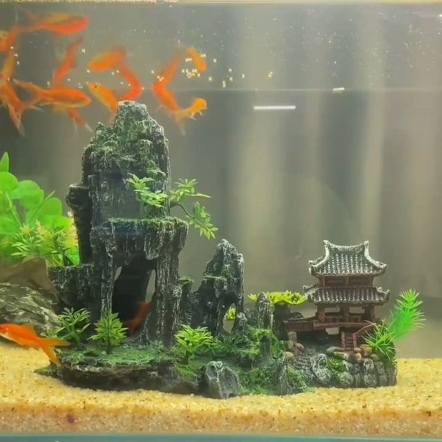 Watch Extra Large Aquarium Decorations kit on Amazon Live
