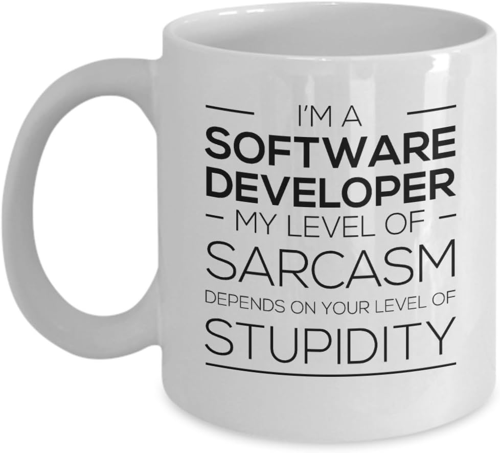 Amazon.com: Funny Birthday Unique Gifts for Software Developers, Unique ...