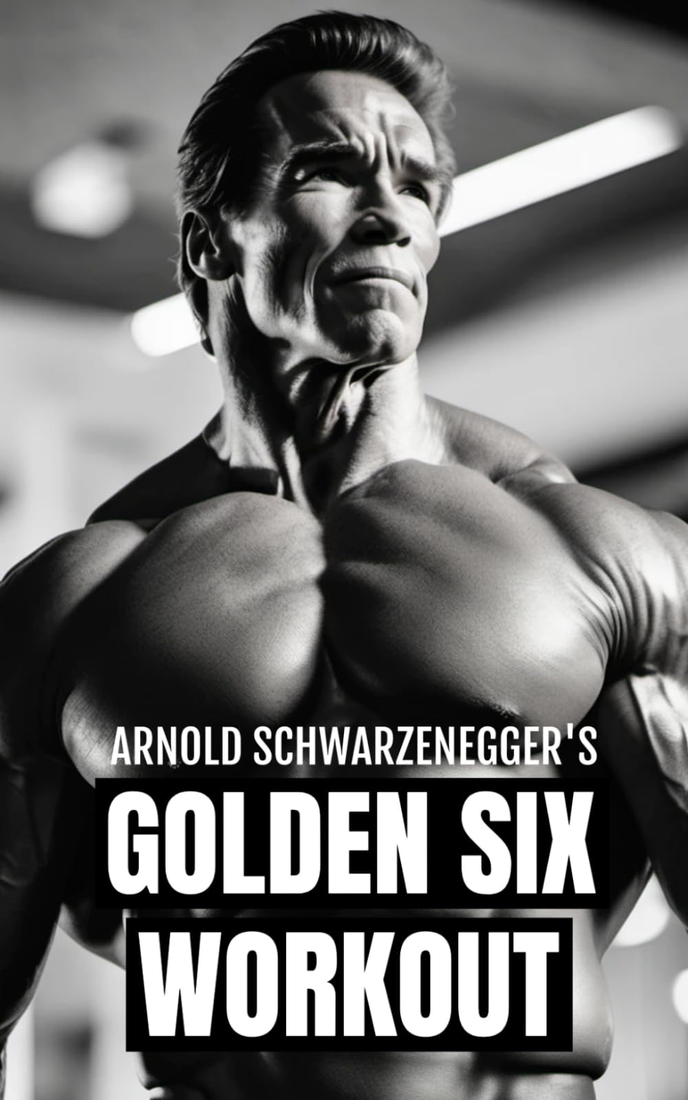 Arnold Schwarzenegger's Golden Six Workout: The Quick Guide to Arnold ...