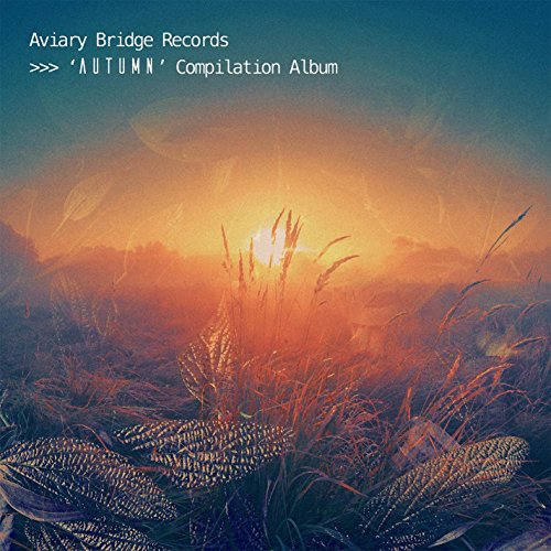 Amazon.com: 'Autumn' Compilation Album : VARIOUS ARTISTS: Digital Music