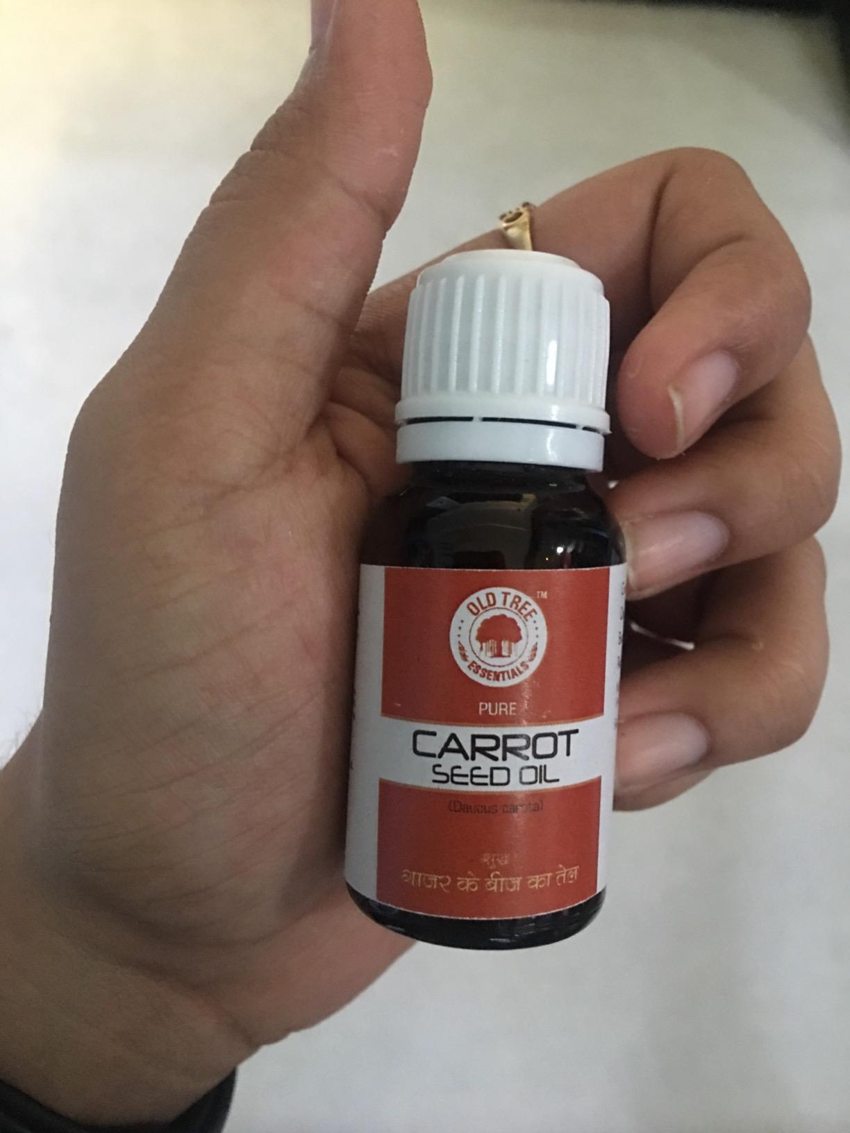 Buy Old Tree Carrot Seed Oil 15 ml Online at Low Prices in India ...