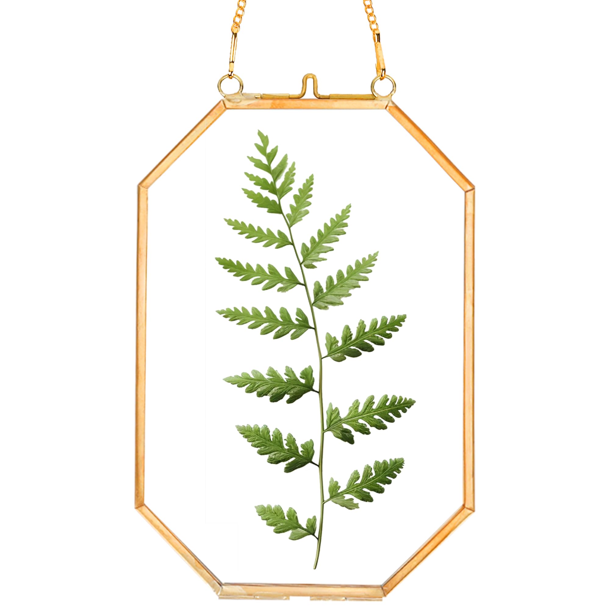 Amazon.com - GeekLeaf Glass Pressed Flower Frame Handmade Octagon ...
