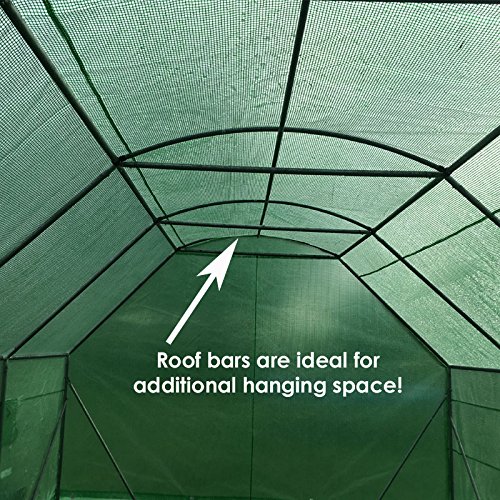 7 Best Polytunnels For Gardens & Allotments - UK Kit Builds