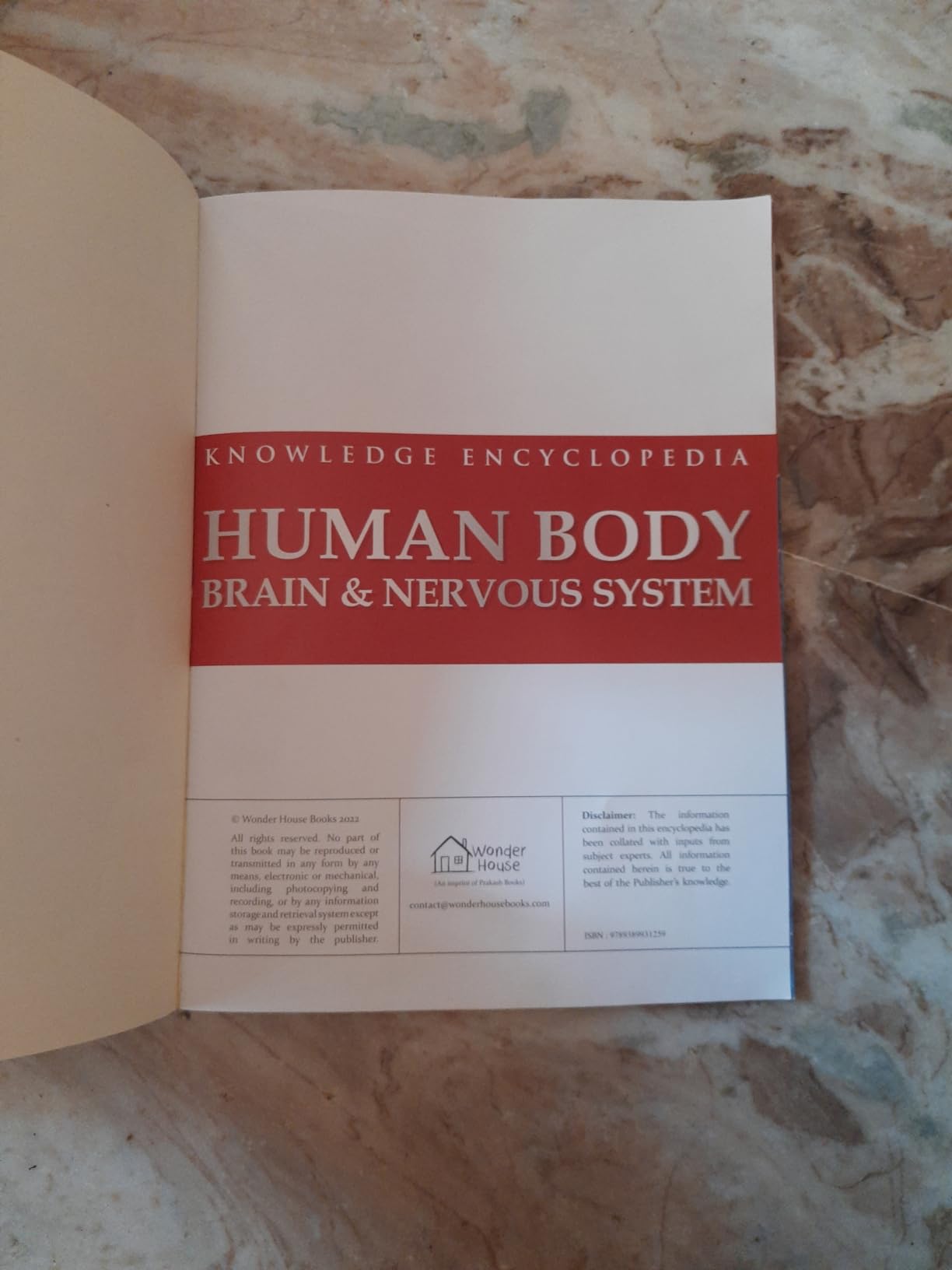 Human Body - Brain And Nervous System: Knowledge Encyclopedia For ...