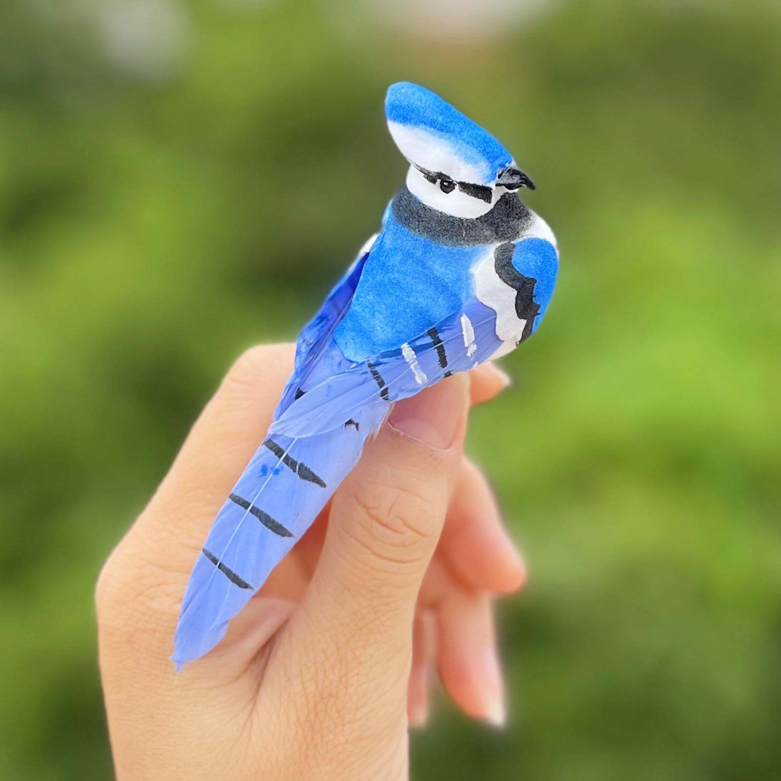 Amazon.com: LWINGFLYER Small Realistic Blue Jay Birds 3.5Inch ...