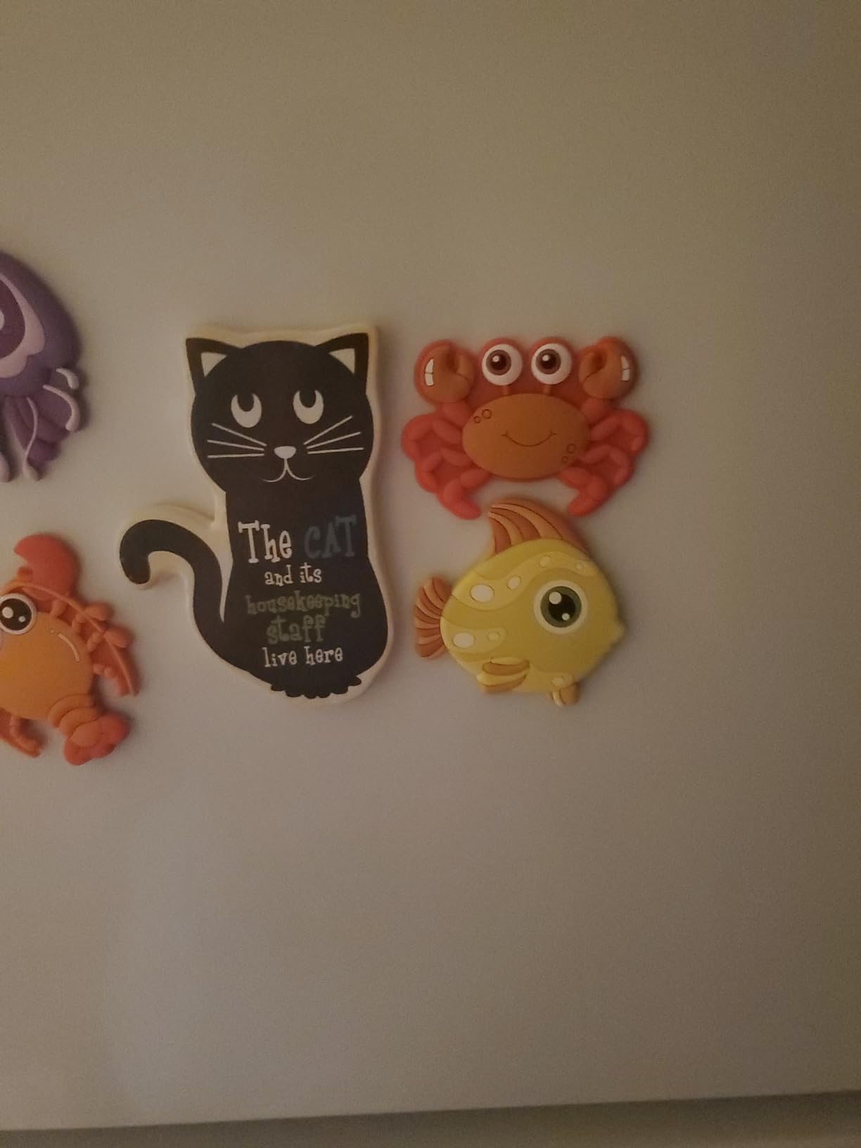 Amazon.com: SUPINEEDO Fridge Magnet for Toddlers, Rubber Cute Animal ...