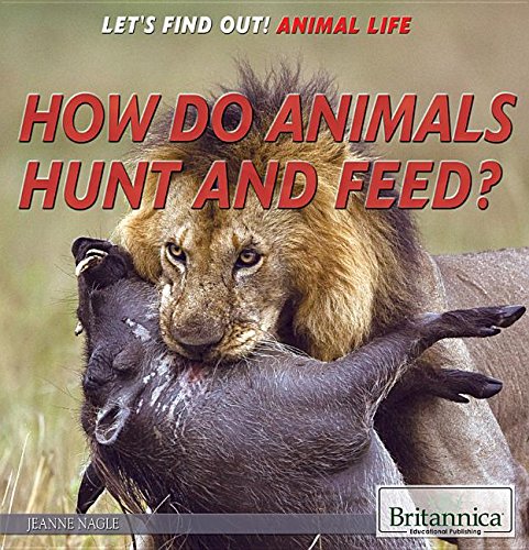 How Do Animals Hunt and Feed? (Let's Find Out! Animal Life, 2): Nagle ...
