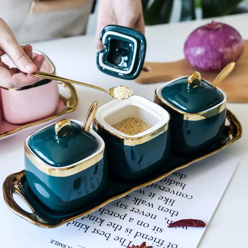 Buy Harnil Ceramic Condiment Pots Decorative Seasoning Jar with Lids ...