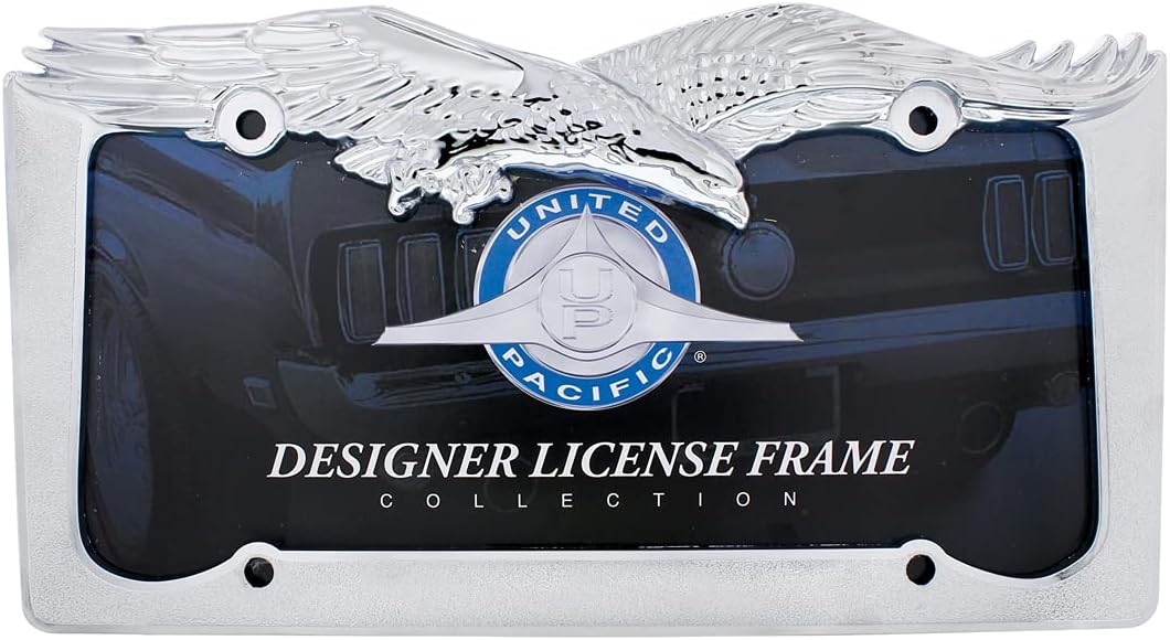 Amazon.com: DMSE American Eagle Eagles Bird Universal Metal License ...