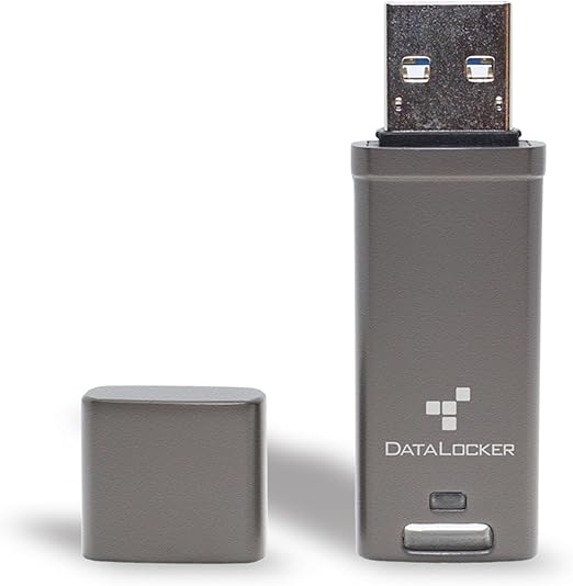 Amazon.com: DataLocker DL GO Encrypted USB Flash Drive | USB 3.2 Gen 1 ...