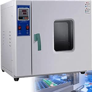 Amazon.com: Constant Temperature Blast Drying Oven for Laboratory/Industrial,Lab Forced Air ...