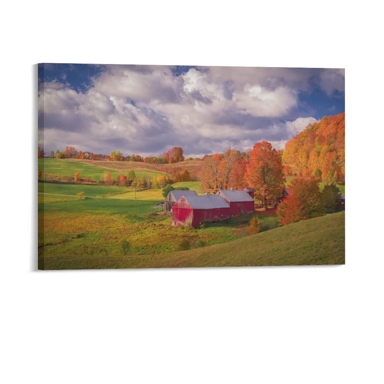 Beautiful Farm Scenery