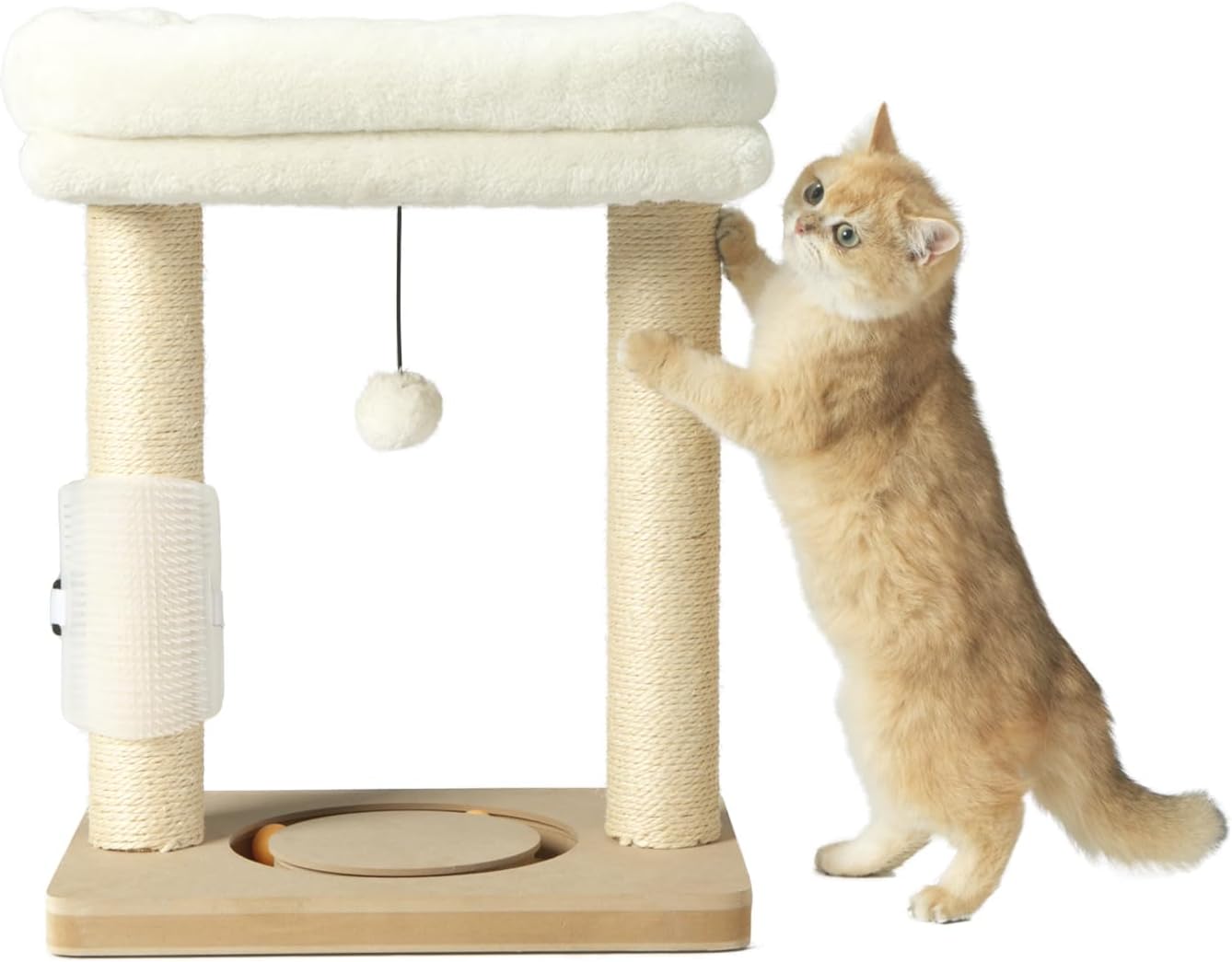 Amazon.com : RUBMEOW Small Cat Tree for Indoor Cats,Sisal Scratching ...