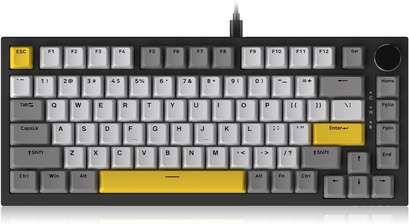 Amazon.com: DAIDAI×AJAZZ AK820 75% Wired Gasket Mechanical Keyboard ...