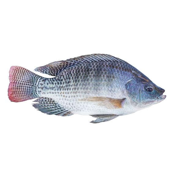 Spar Fish - Tilapia Cleaned, 500g : Amazon.in: Grocery & Gourmet Foods