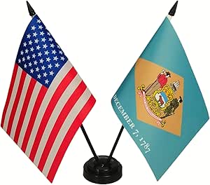 Amazon.com: Zigvert America & Delaware Twin Desk Flag, US Delaware ...