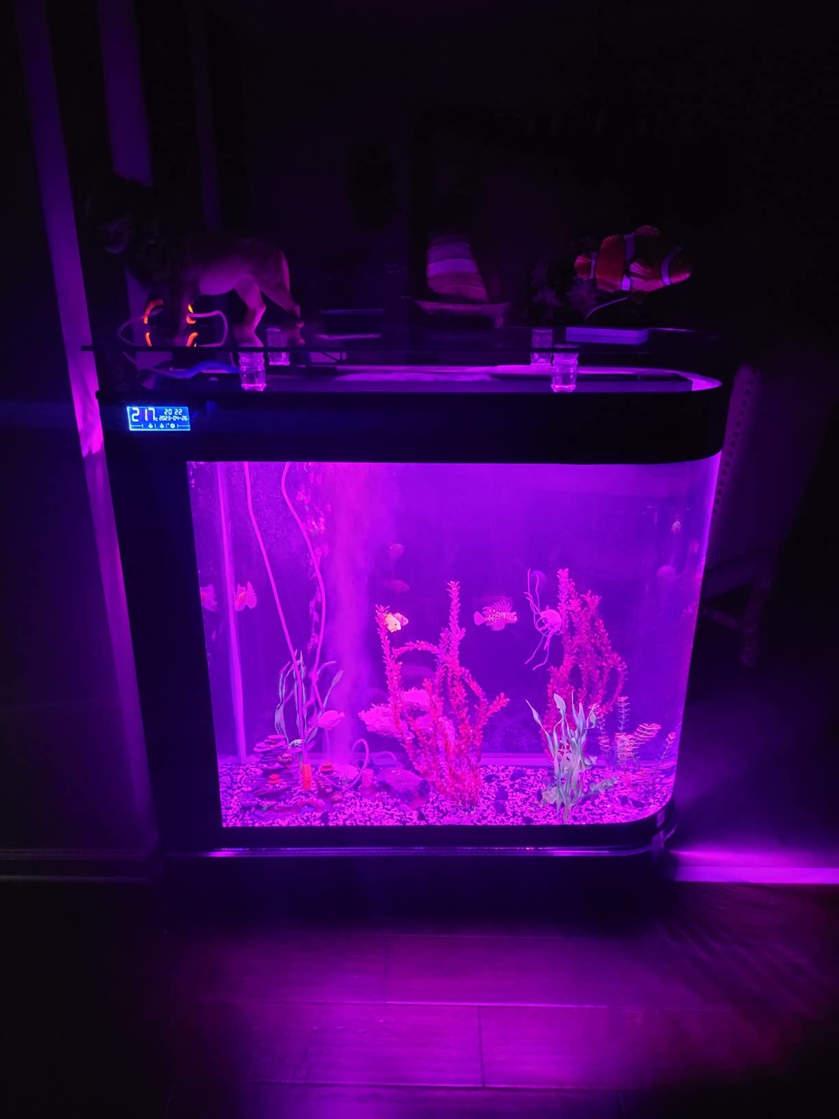 $81/mo - Finance Black Fish Tank 124Gal LED Aquarium Kit Upright Fish ...