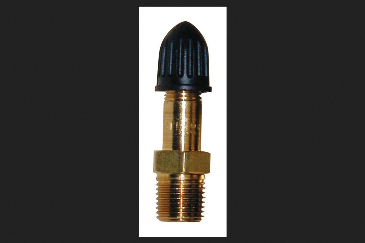 AIR SNIFTER VALVE 1/8" - Amazon.com