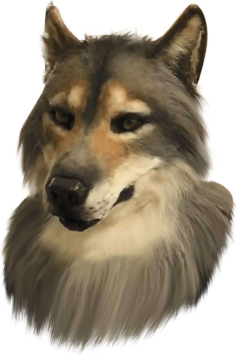 Halloween Costume Party Wolf / Werewolf / Parrot Ara / Black Cat / Bald ...