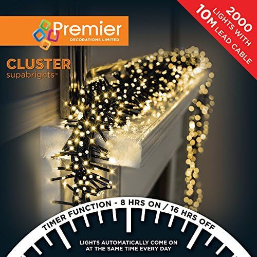 Premier Decorations Premier Decorations-2000 Multi Action Cluster LED ...