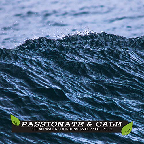 Amazon.com: Passionate & Calm - Ocean Water Soundtracks for You, Vol.2 ...