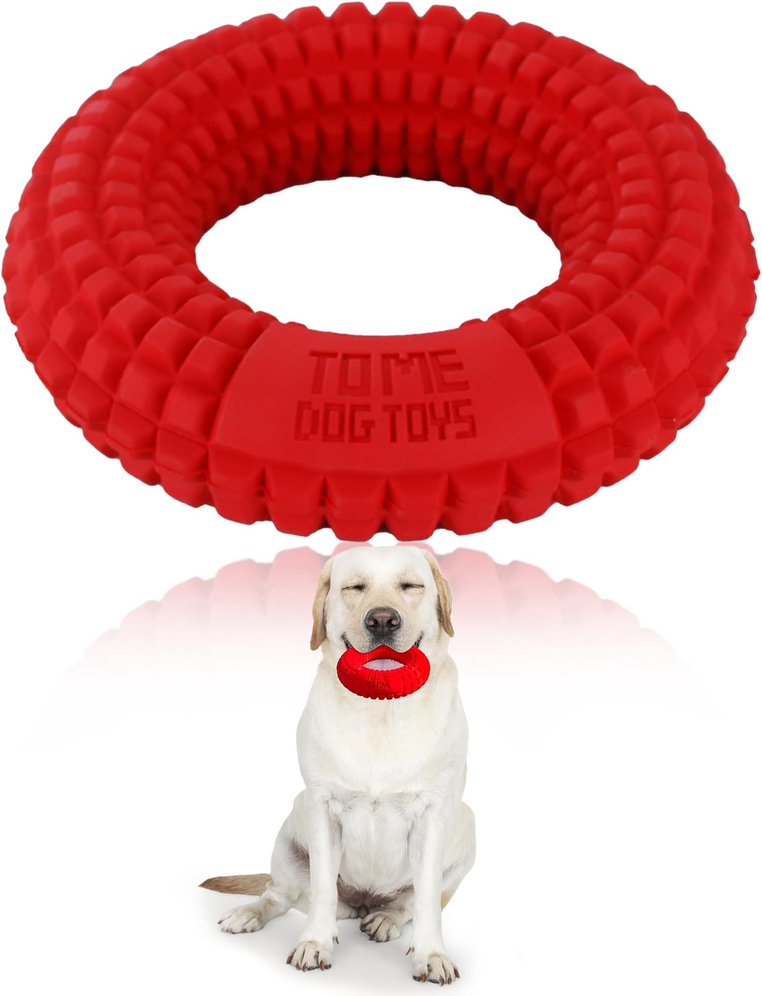Pet Supplies : KONG Ring - Natural Rubber Ring Toy for Healthy Chewing ...