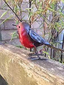 Robin Metal Garden Ornament : Amazon.co.uk: Garden