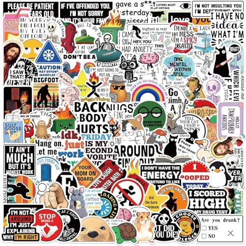 100pcs Prank Meme Sticker Pack, Funny Snarky Meme Stickers for Laptop ...