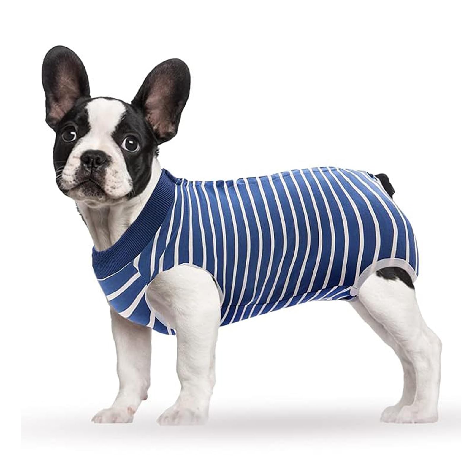 Amazon.com : HCHYEY Dog Recovery Suit, Humanized Dog Surgery Recovery ...