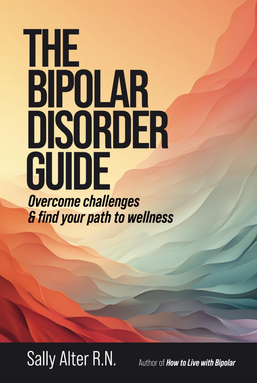 The Bipolar Disorder Guide: Overcome Challenges & Find Your Path to ...