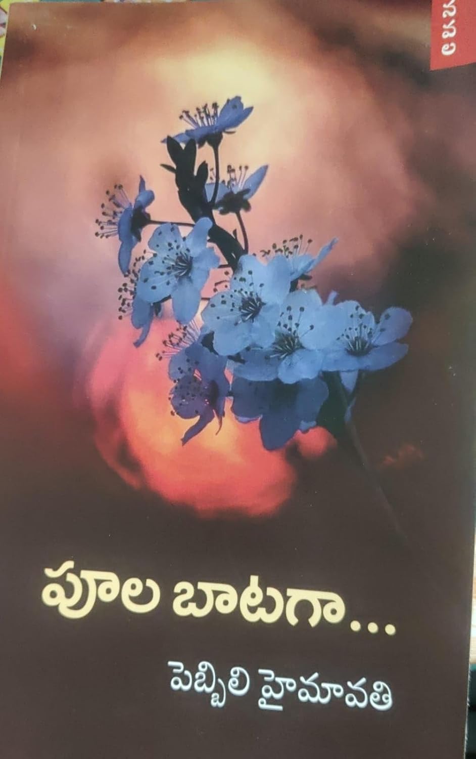 Amazon.in: Buy Poola Bataga Book Online at Low Prices in India | Poola ...