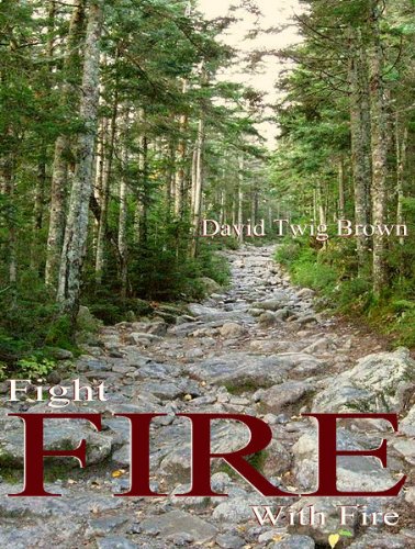 Fight Fire With Fire - Kindle edition by Brown, David, Hendry, Sara ...