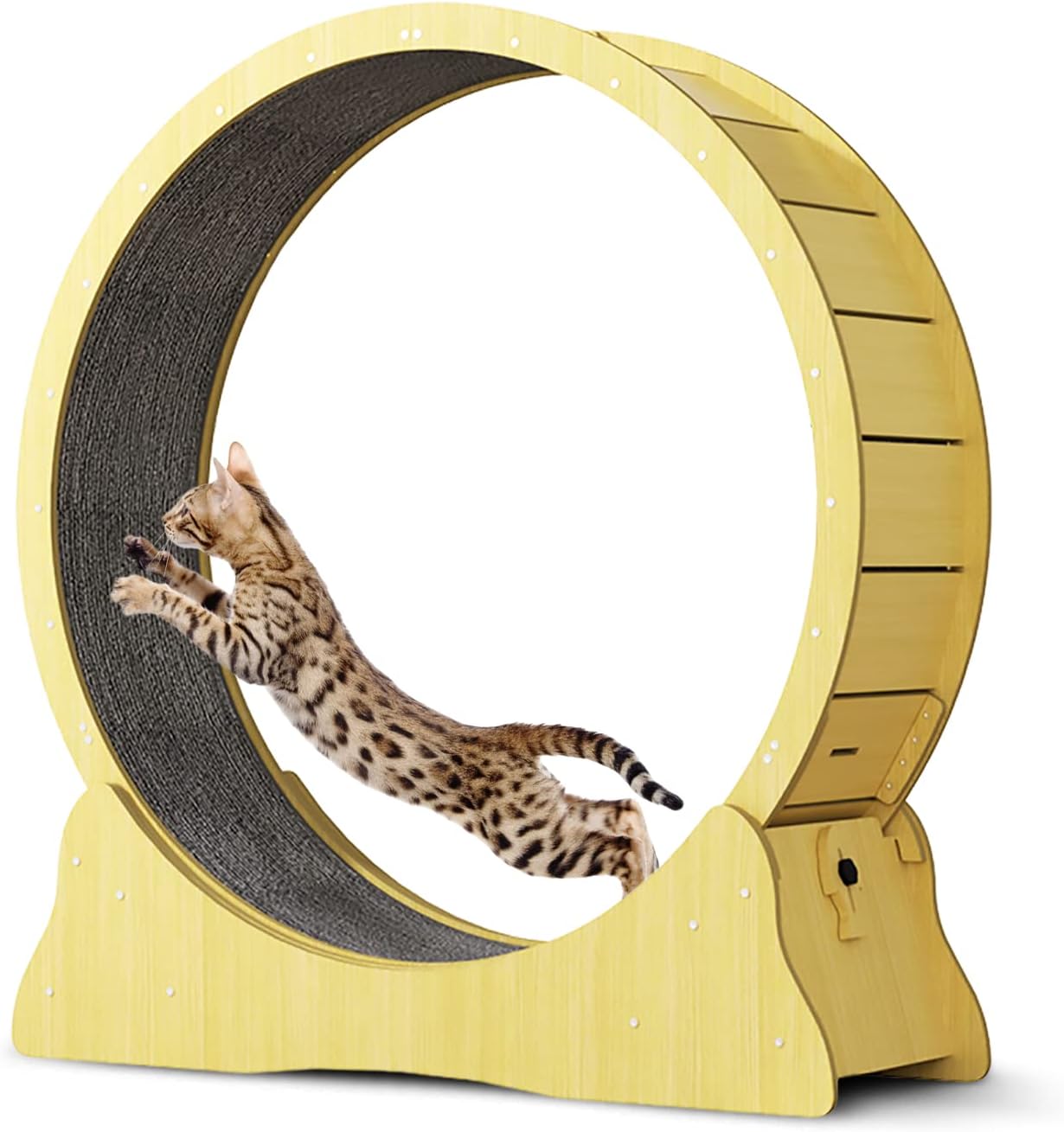 One Fast Cat Exercise Wheel. Perfect For Your Energetic Cat : Amazon.co ...