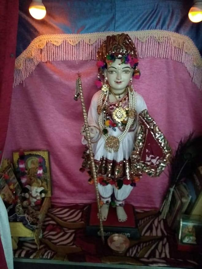 Buy Ghanshyam Maharaj Vagha Online at Low Prices in India - Amazon.in