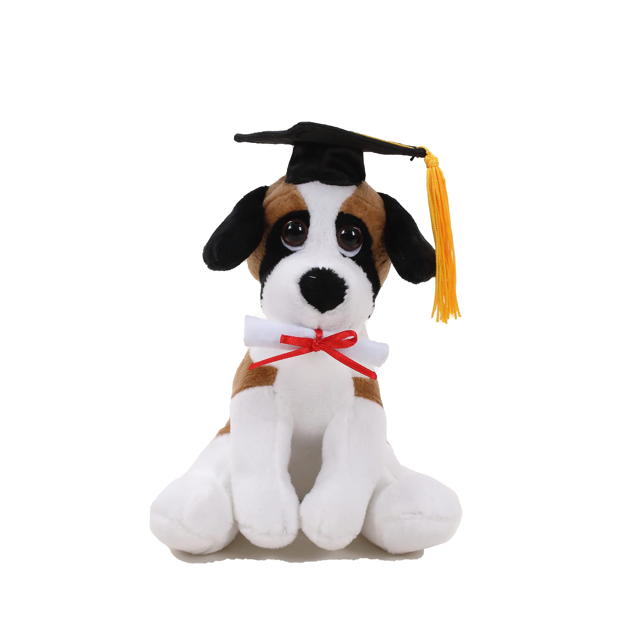 Amazon.com: Plushland Cuddly Dog Toy, Graduation Cap and Diploma ...