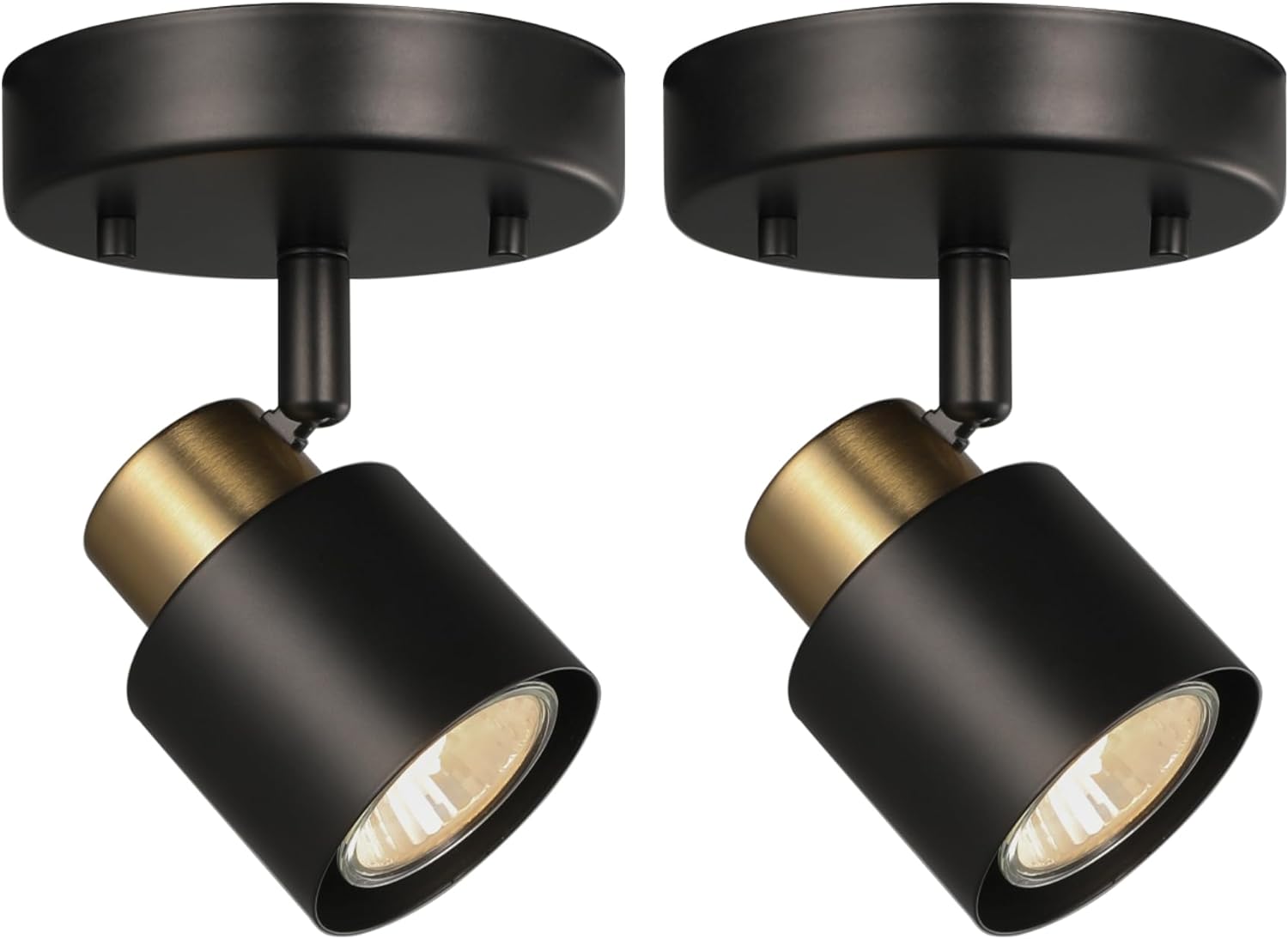 CRAFTRONOS 1 Light Track Lighting Kit,2 Packs Matt Black Brass Finish ...