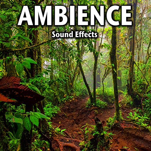 Ambience Sound Effects : Sound Ideas: Amazon.de: Digital Music