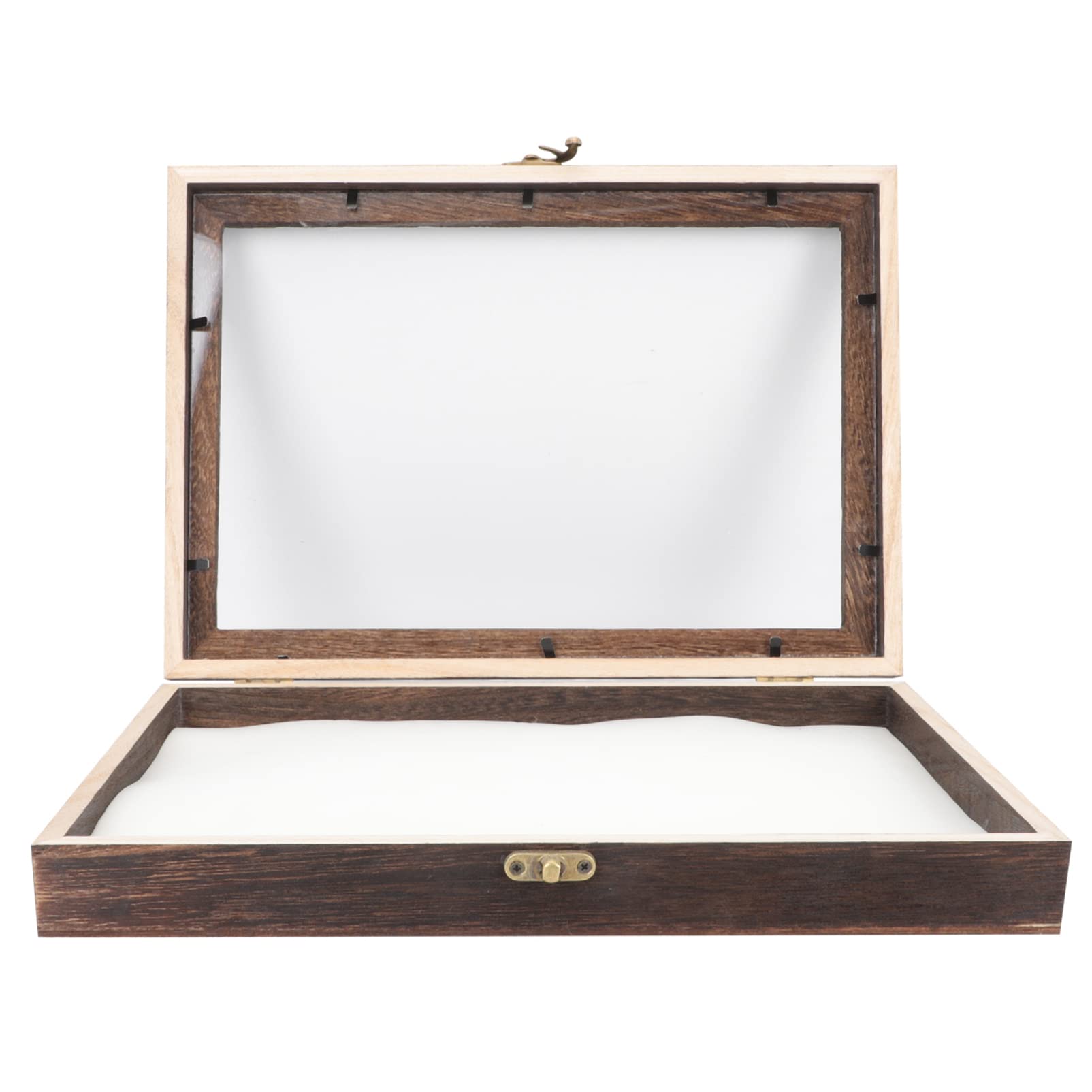 Cabilock Display Case Shadow Box Frame Tabletop Bug Display Case Wooden ...