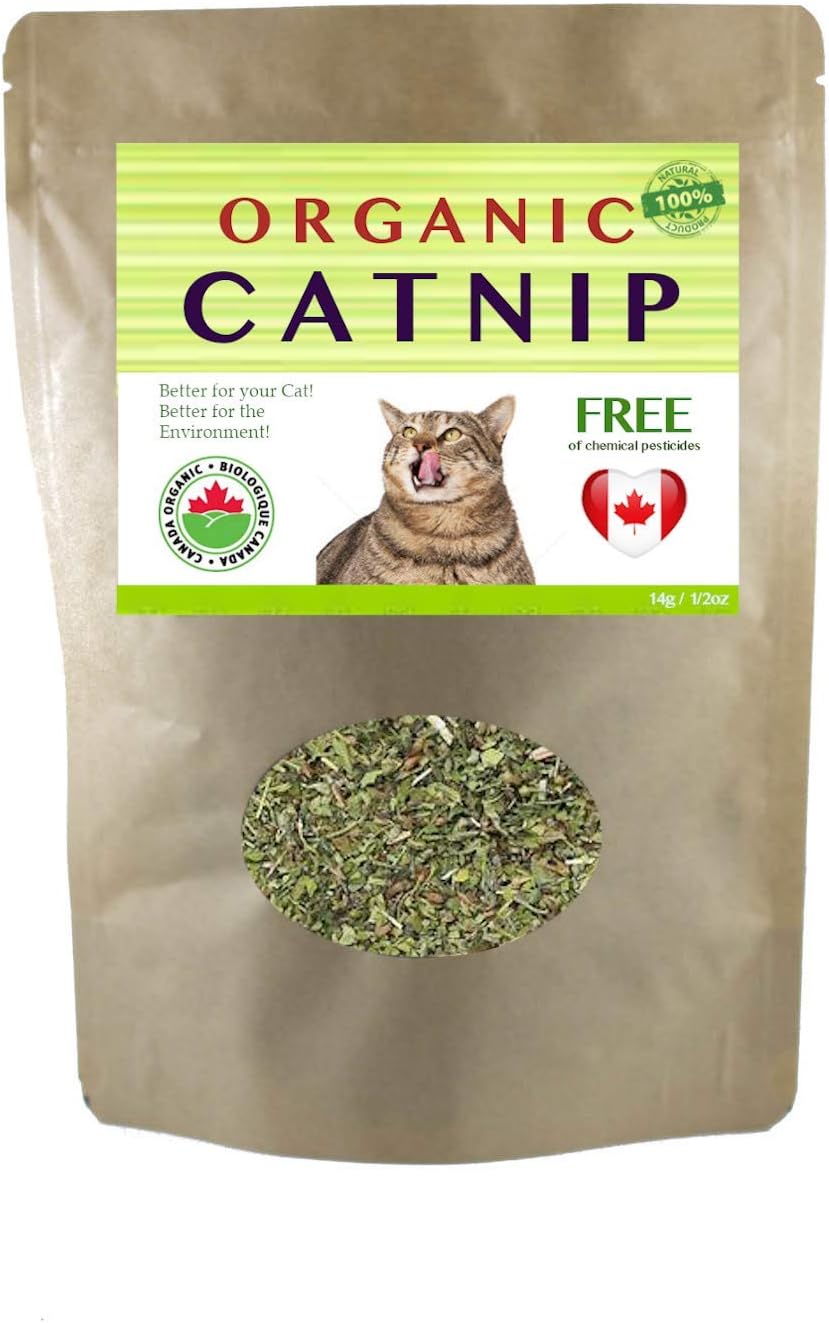Catnip Organic Premium Blend | Fresh and Dried, Safe for Cats | Natural ...