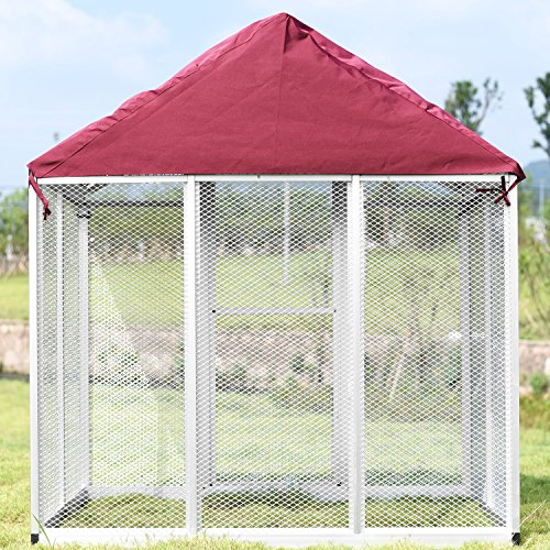 Best Bird Aviary For Sale: 6 Outdoor, Indoor & Walk-in Aviary Reviews