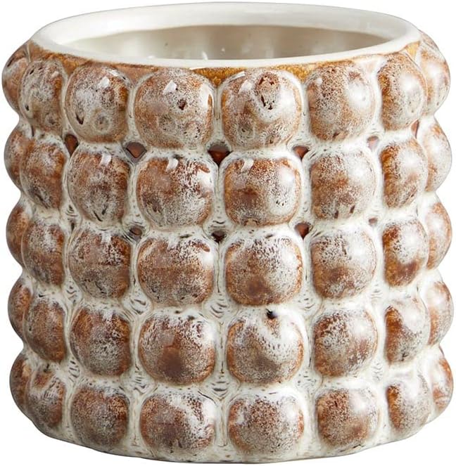 Amazon.com: 47th & Main Flower Indoor Plants | Ceramic Bubble Planter ...