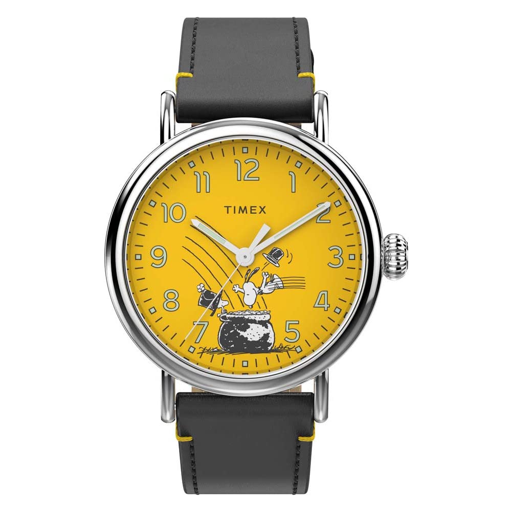 Timex Tw2v60400 Mens Standard Peanuts Watch | Desertcart INDIA