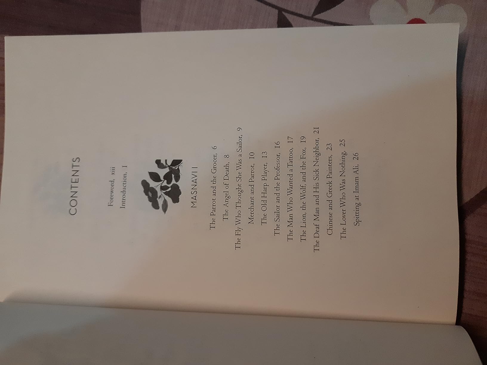 The Book of Rumi: 105 Stories and Fables that Illumine, Delight, and ...