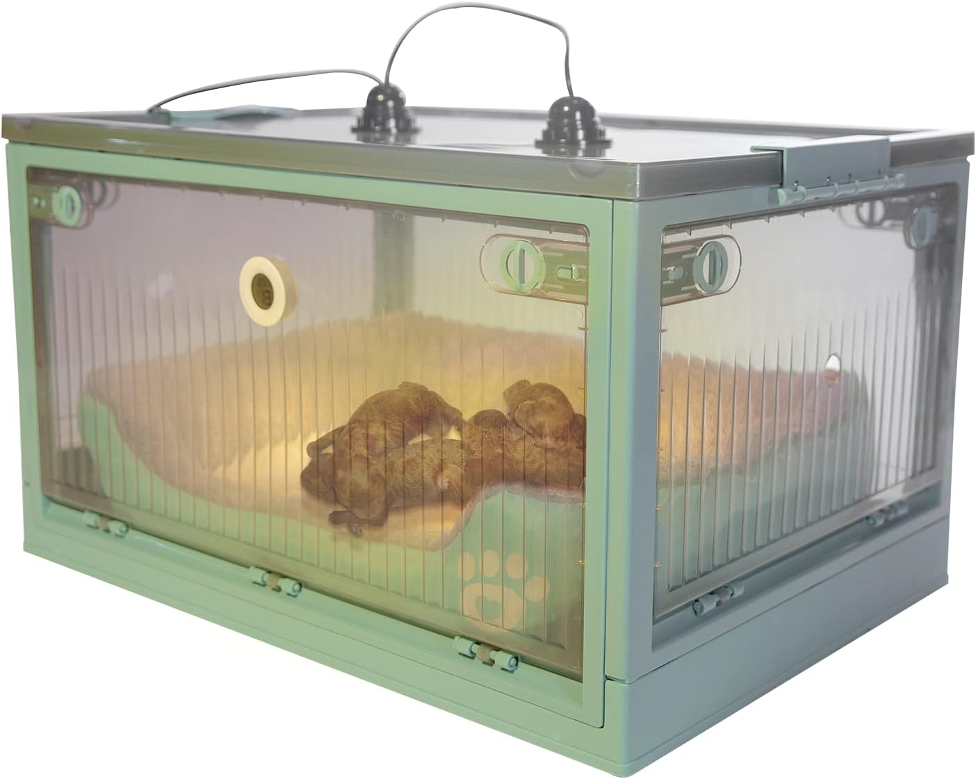 Amazon.com : Intelligent Puppy Incubator Transparent Puppy Kennel ...
