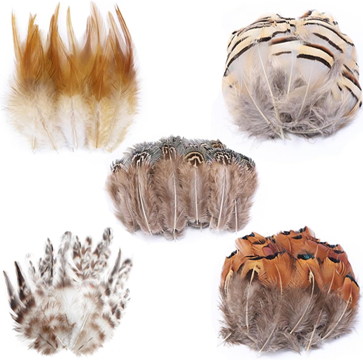 Amazon.com: 100pcs 5 Style Natural Feathers Assorted Mixed Feathers for ...