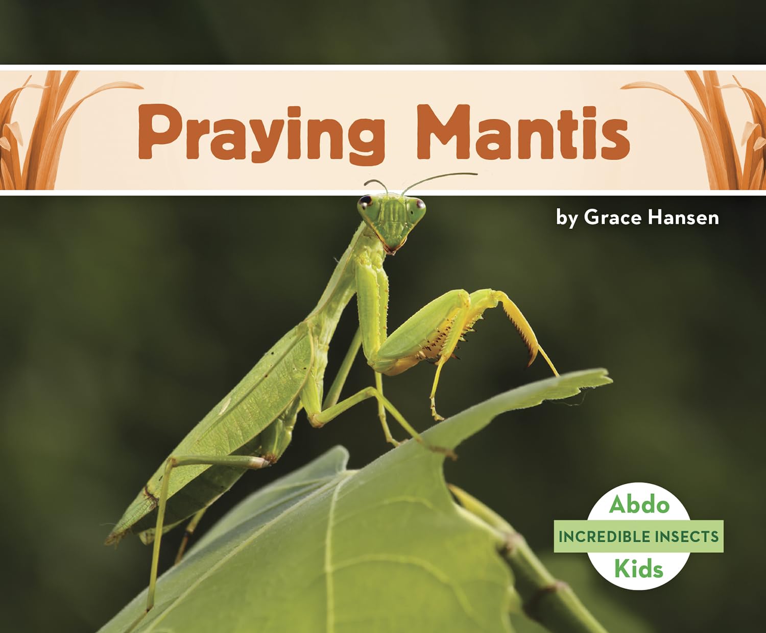 Praying Mantis: Grace Hansen: 9781644945599: Amazon.com: Books